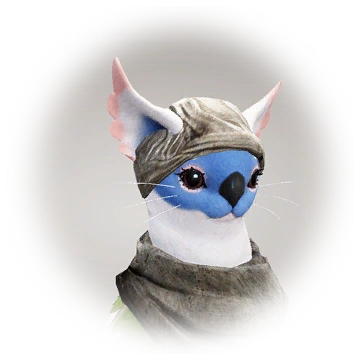 Panzy | Black Desert Wiki | Fandom