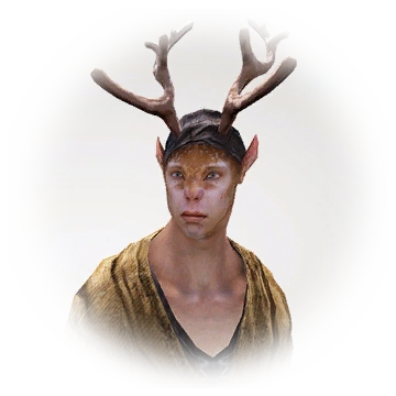 Spig | Black Desert Wiki | Fandom