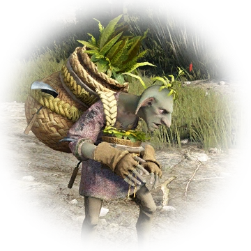 Ribley | Black Desert Wiki | Fandom