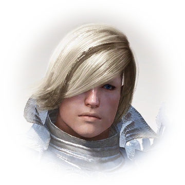 Brego Williar | Black Desert Wiki | Fandom