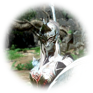 Ahib Dark Champion | Black Desert Wiki | Fandom