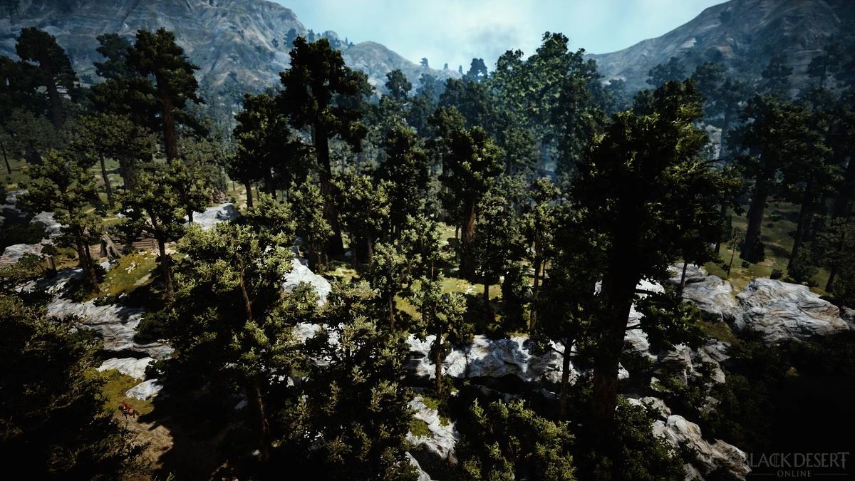 Treant Forest | Black Desert Wiki | Fandom