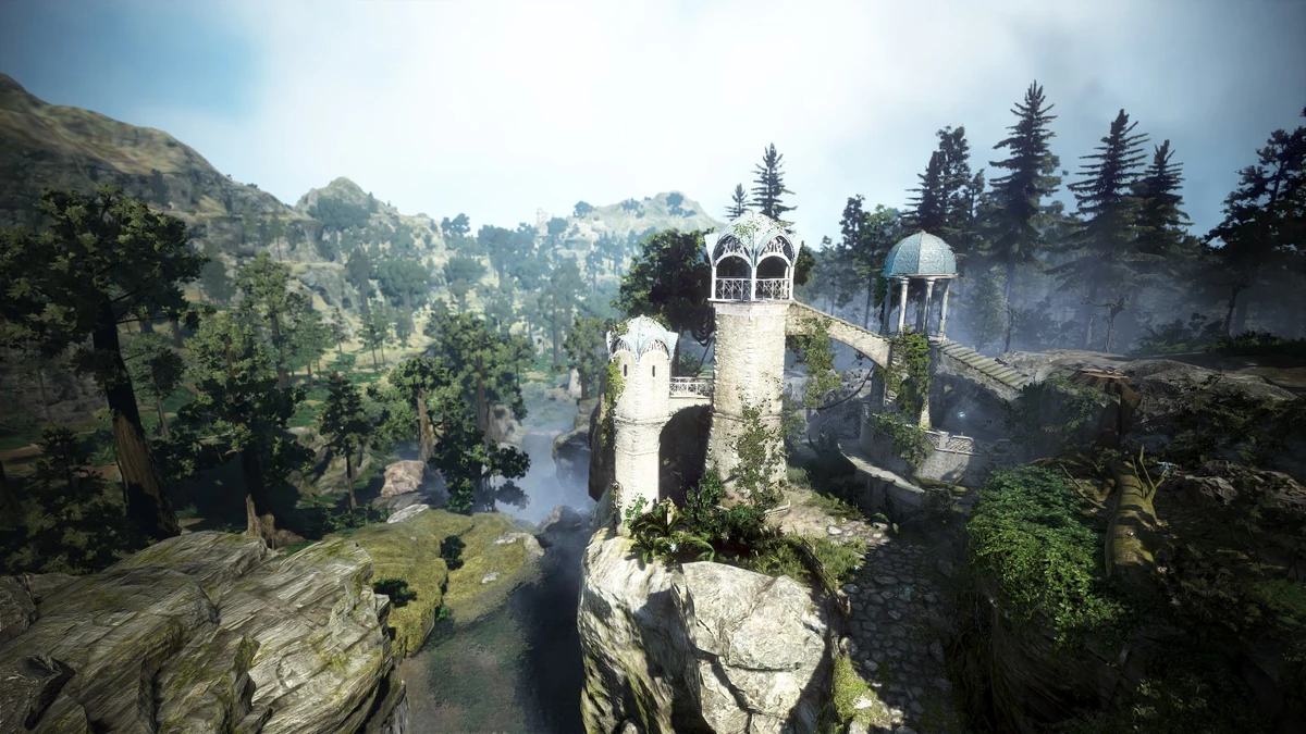 Shady Tree Forest | Black Desert Wiki | Fandom