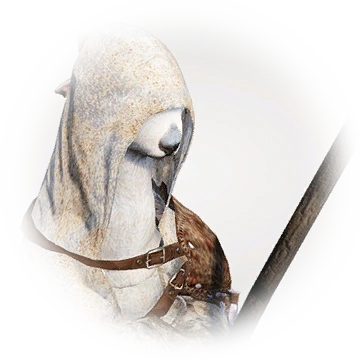 Sorio | Black Desert Wiki | Fandom