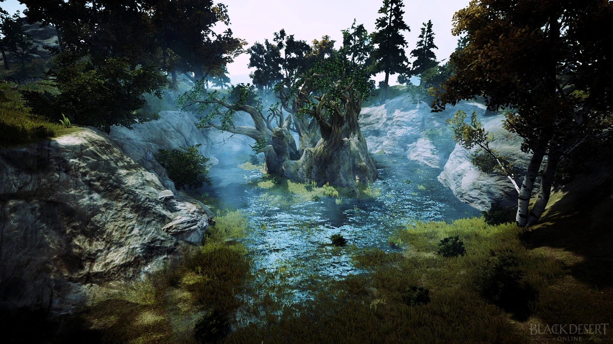Rhua Tree Stub | Black Desert Wiki | Fandom