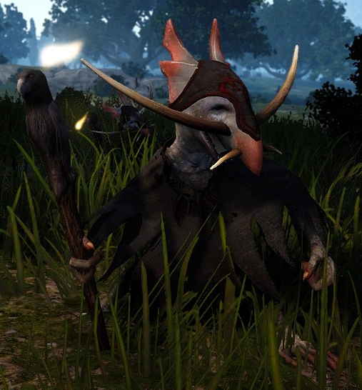Imp Wizard | Black Desert Wiki | Fandom