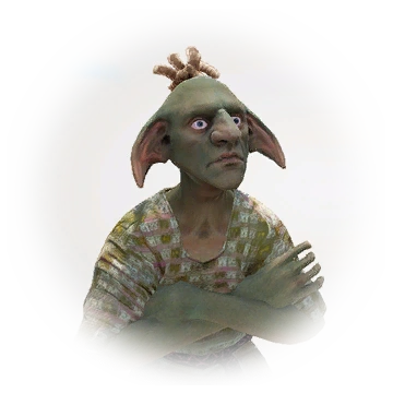 Adin | Black Desert Wiki | Fandom