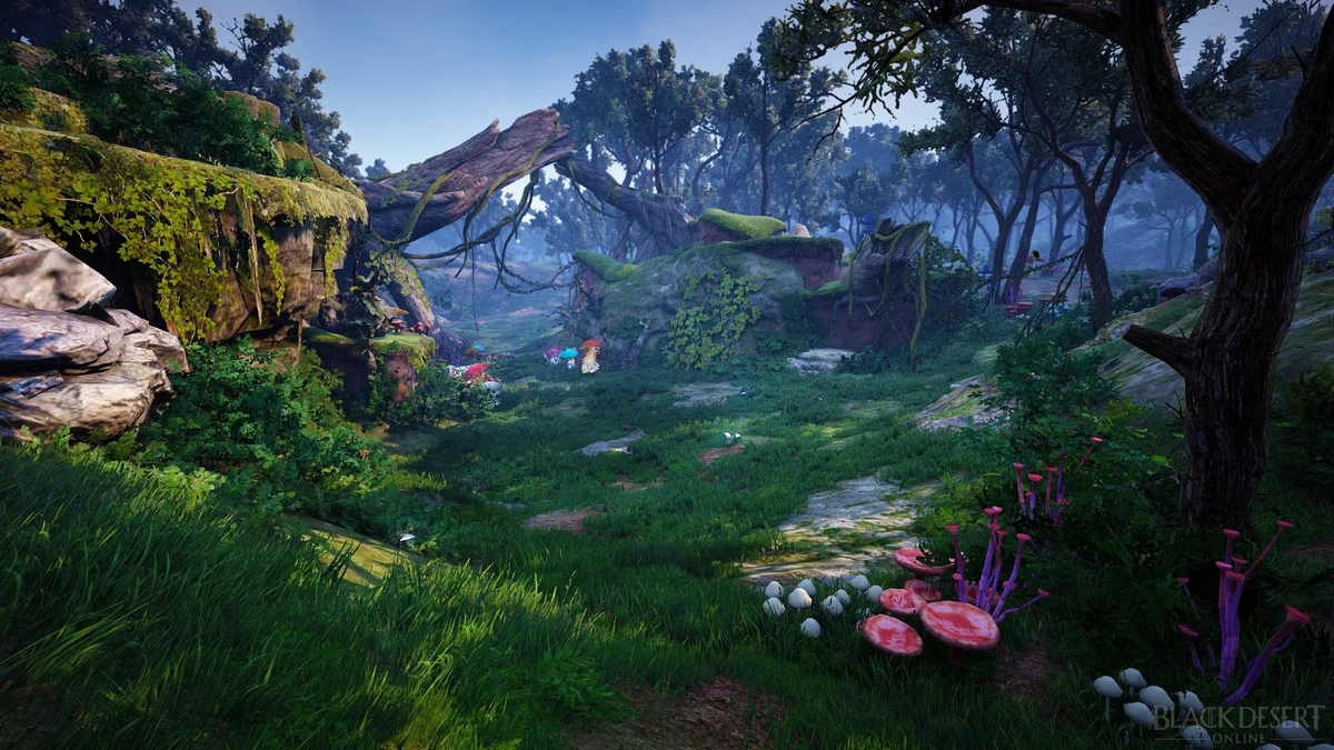 Polly's Forest | Black Desert Wiki | Fandom