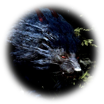 Shadow Lion | Black Desert Wiki | Fandom