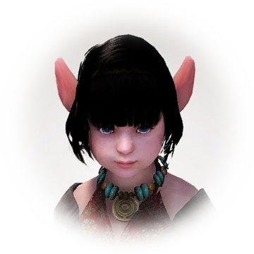 Illen Raige | Black Desert Wiki | Fandom