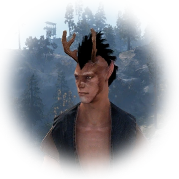 Goolie Gianin | Black Desert Wiki | Fandom