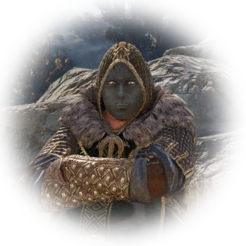 Investigator Olgert | Black Desert Wiki | Fandom