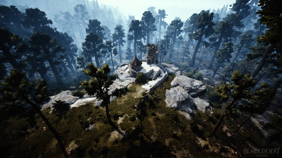 Longleaf Tree Forest | Black Desert Wiki | Fandom