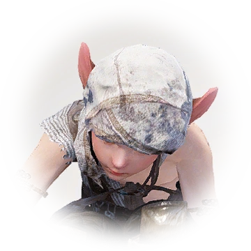 Zenith | Black Desert Wiki | Fandom