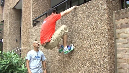 Cat Leap | Black Dragon Parkour Wiki | Fandom