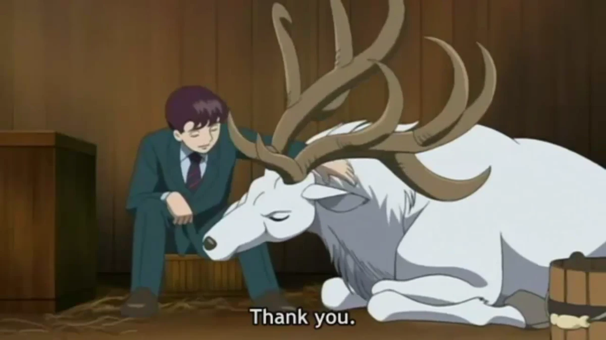 Episode 24: A Challenge Called Nadare | Black Jack Wiki | Fandom