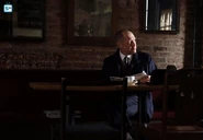 Lady Ambrosia | The Blacklist Wiki | Fandom