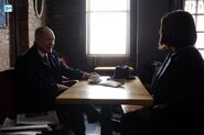 Lady Ambrosia | The Blacklist Wiki | Fandom
