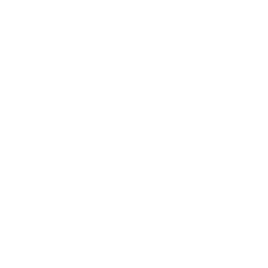 Somersault Cloud | Black Myth: Wukong Wiki | Fandom