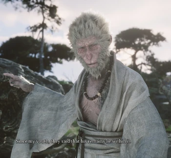 The Old Monkey | Black Myth: Wukong Wiki | Fandom
