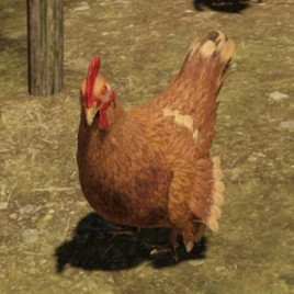 Chicken | Blade and Sorcery Wiki | Fandom
