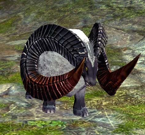 Three Blind Men | Blade and Soul Wiki | Fandom