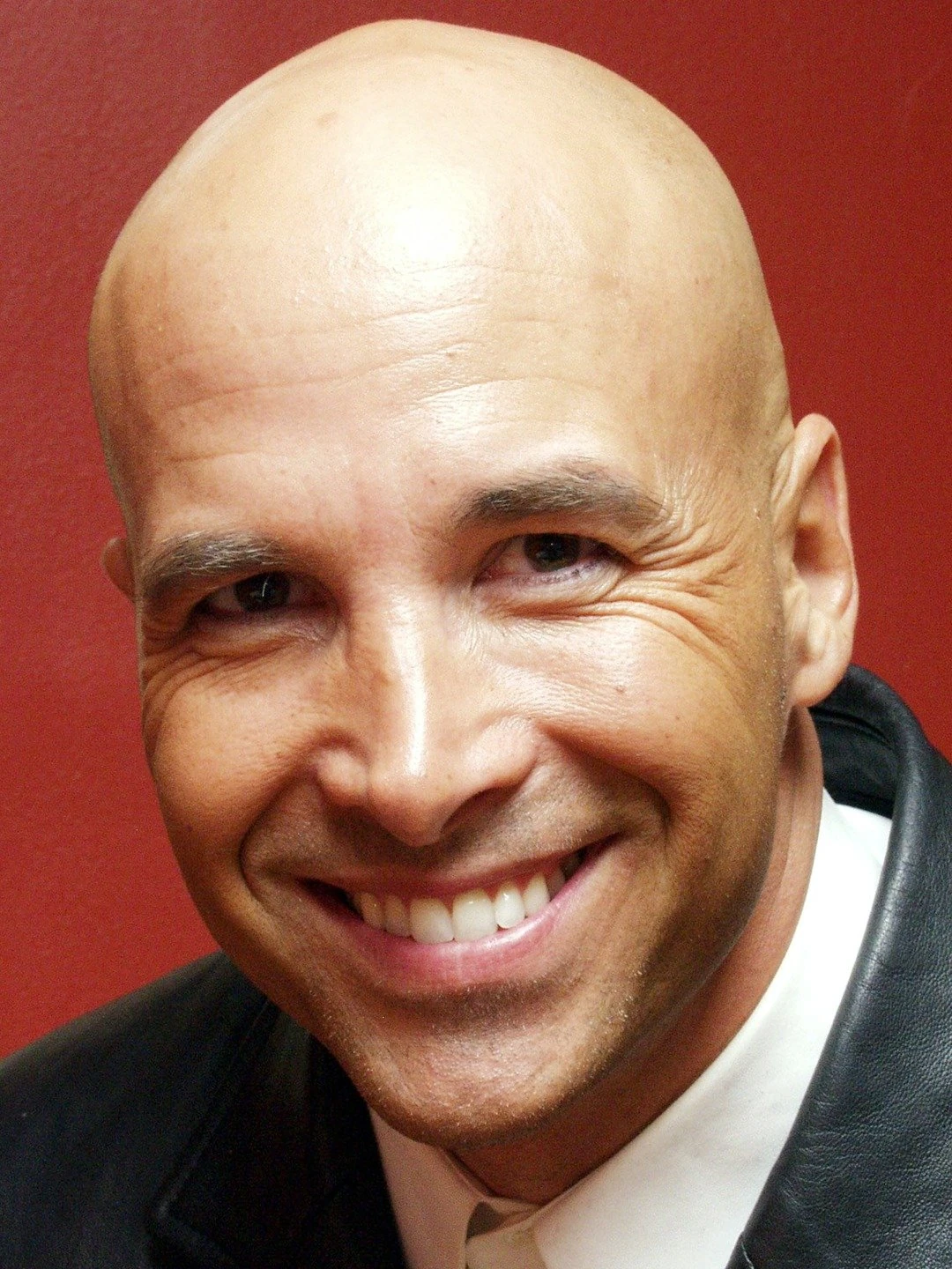 David Palffy | Blade Wiki | Fandom