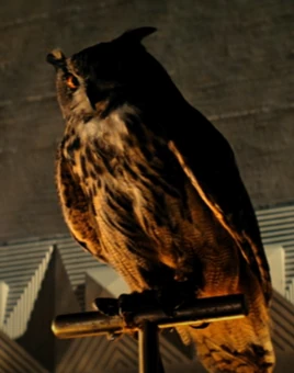 Eden | Off-world: The Blade Runner Wiki | Fandom