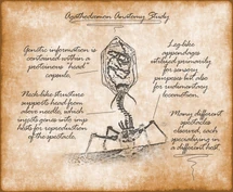 Agathodæmon | Blades and Beasts Wiki | Fandom