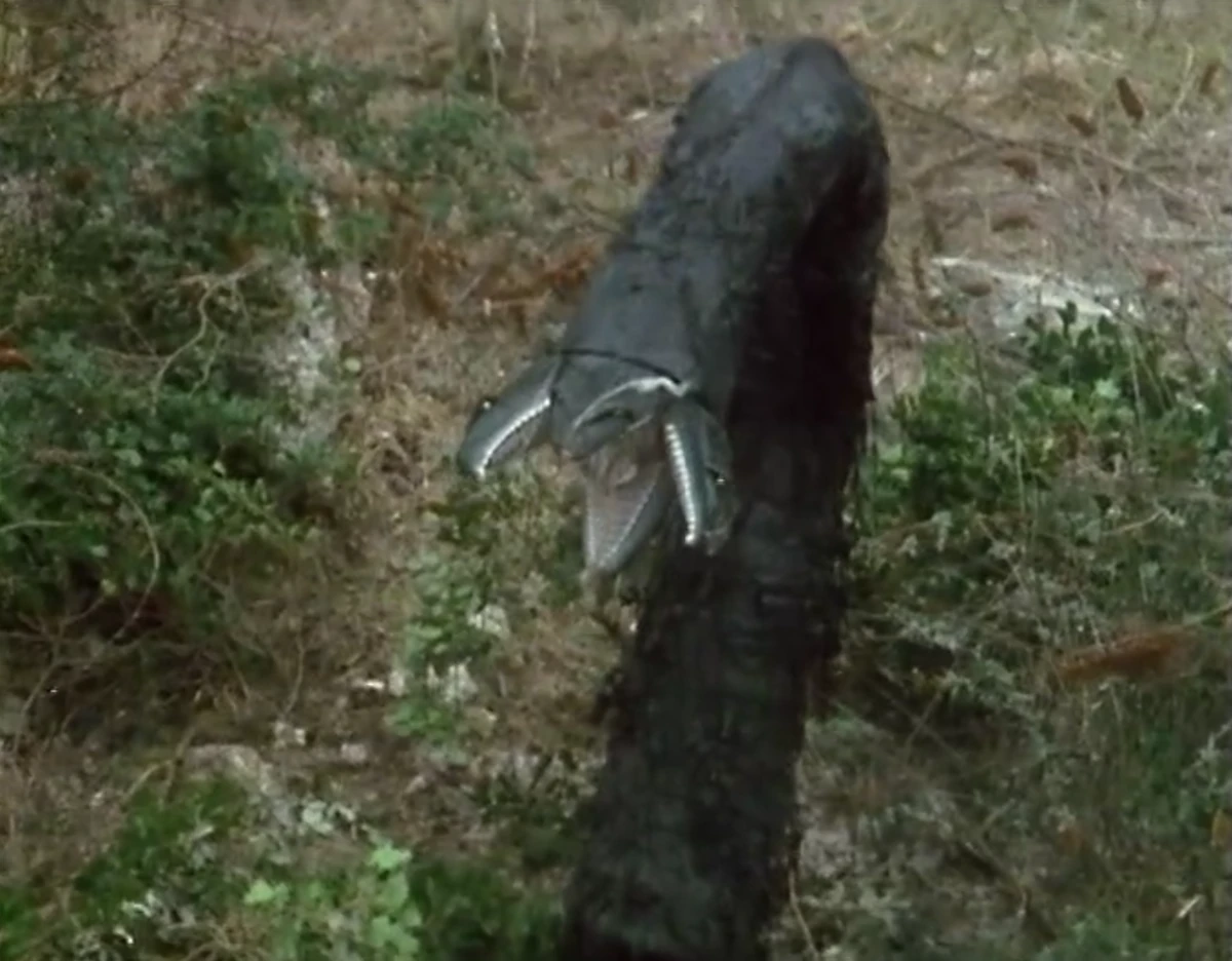 Terminal Swamp Worm | Blakes 7 Wiki | Fandom