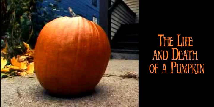 The Life and Death of a Pumpkin | Blame Society Films Wiki | Fandom