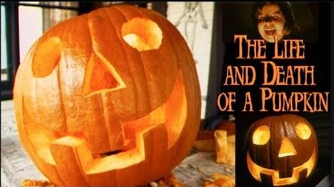 The Life and Death of a Pumpkin | Blame Society Films Wiki | Fandom