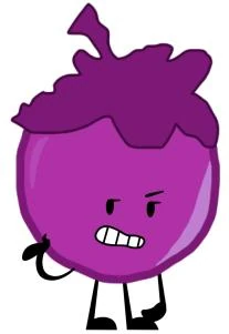 Yoyleberry | Bland's Ultimate Camp Wiki | Fandom