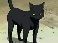 Yoruichi Shihōin | Bleach-2009 Wiki | Fandom