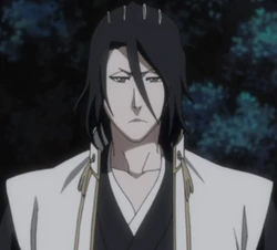 Byakuya Kuchiki | Bleach and Fairy Tail Wikia | Fandom