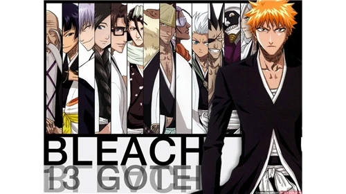 Bleach : Hollow Return Wiki | Fandom