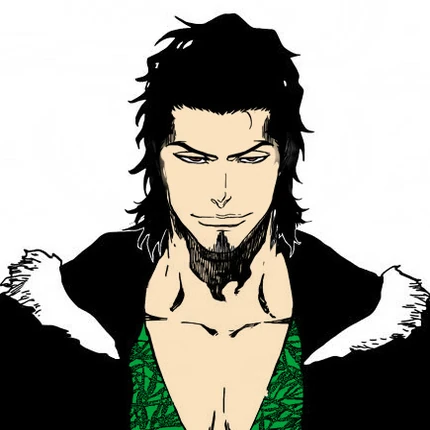 Kūgo Ginjō | Bleach Pandamonium Saga Wiki | Fandom