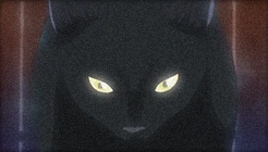 Yoruichi Shihōin | Wiki Bleach Soul Resonance ESP | Fandom