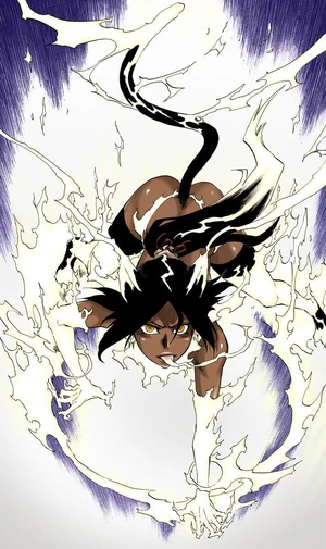 Hakuda/Secrets | Bleach True Fanon Wiki | Fandom