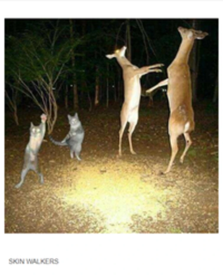 The dog crawler | Bleach World Wiki | Fandom