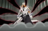 Zangetsu Becomes an Enemy | Bleach Wiki | Fandom