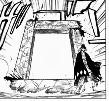 070. Where Hollows Fear To Tread | Bleach Wiki | Fandom