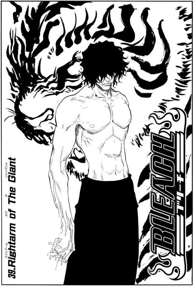 Chapitre 39 | Bleach Wiki | Fandom
