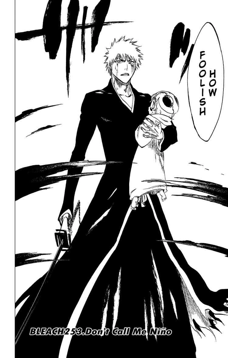 Chapitre 253 | Bleach Wiki | Fandom