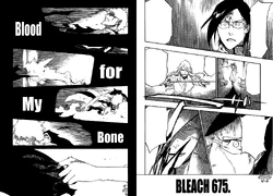 Chapitre 675 | Bleach Wiki | Fandom