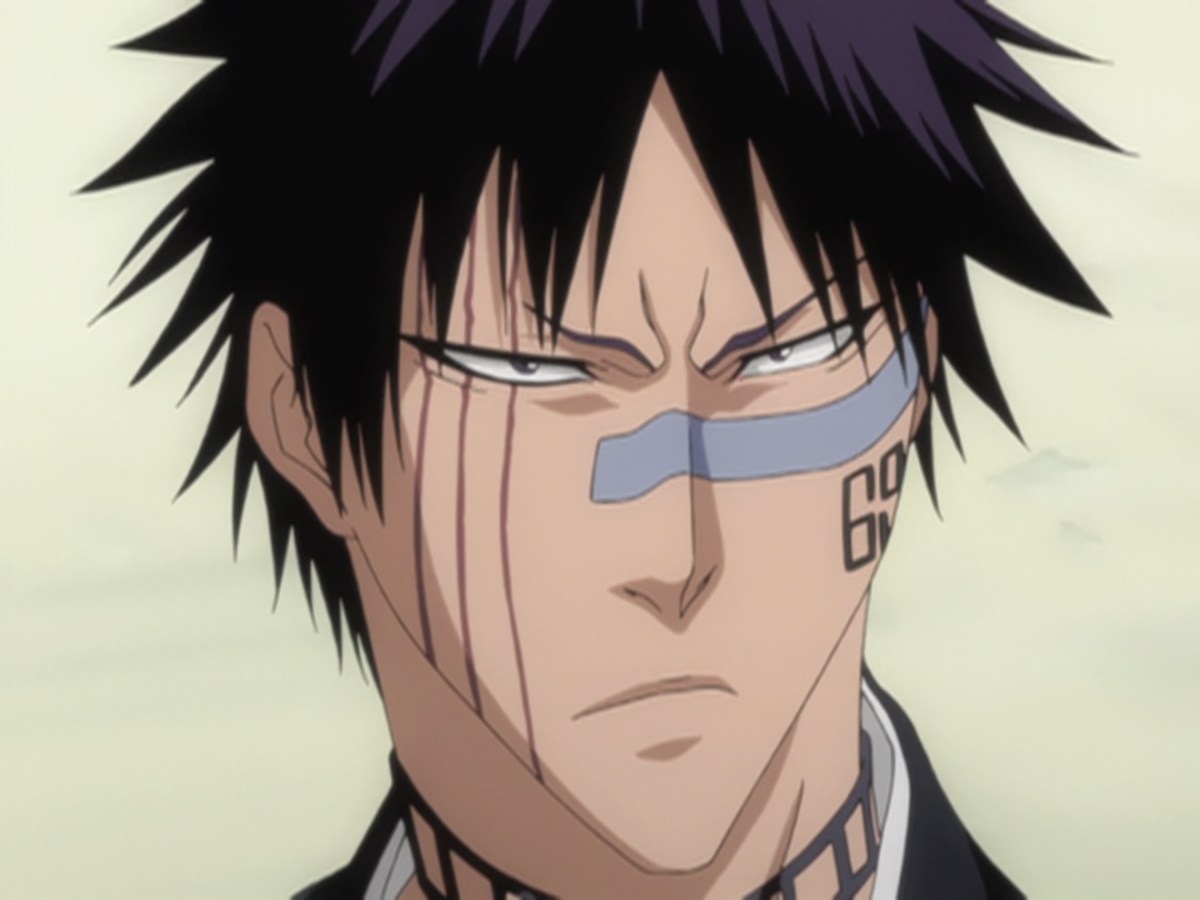 Shūhei Hisagi/Anime Continuity | Bleach Wiki | Fandom