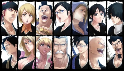 Vice-Capitaine | Bleach Wiki | Fandom