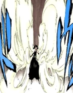 Shunkō/Image Gallery | Bleach Wiki | Fandom