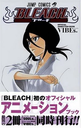 Bleach: Official Animation Book VIBEs | Bleach Wiki | Fandom