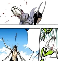 Kenpachi Zaraki vs. Nnoitra Gilga | Bleach Wiki | Fandom